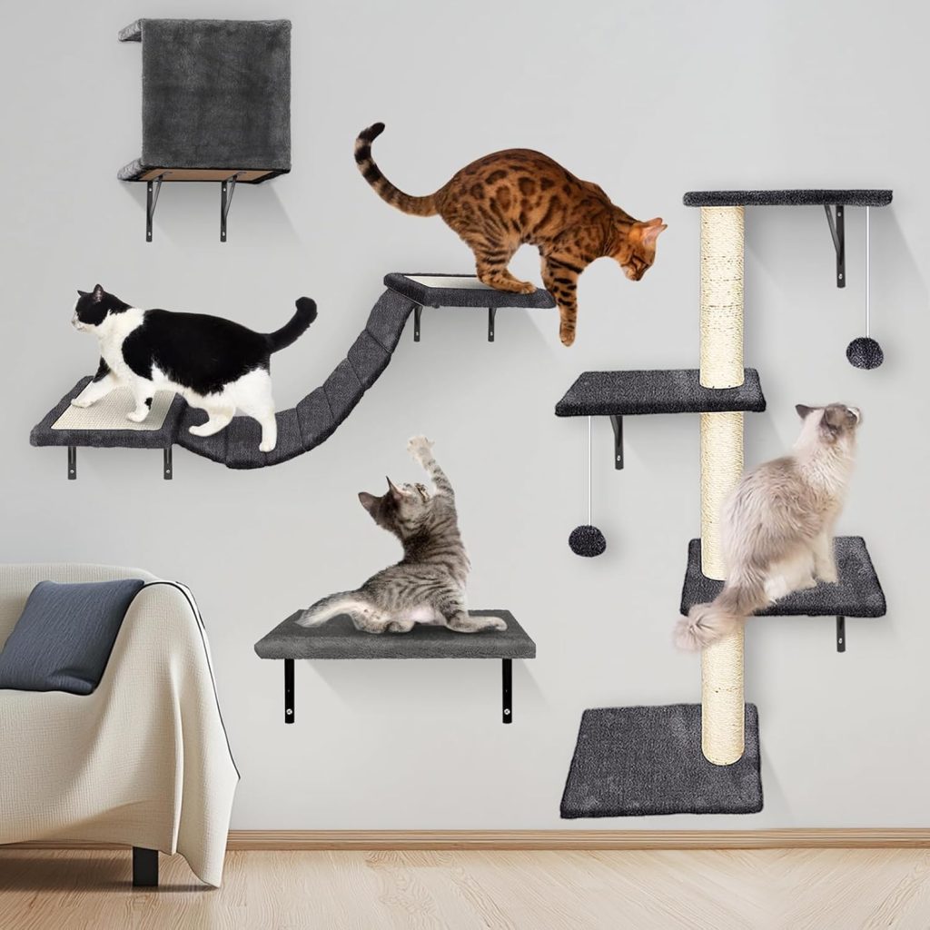 MASTERTOP Cat Climbing Frame Set, 4 in 1 Stable Cat Wall Furniture Set ...